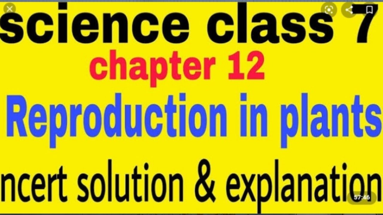 CLASS 7 CHAPTER 12 SCIENCE - YouTube
