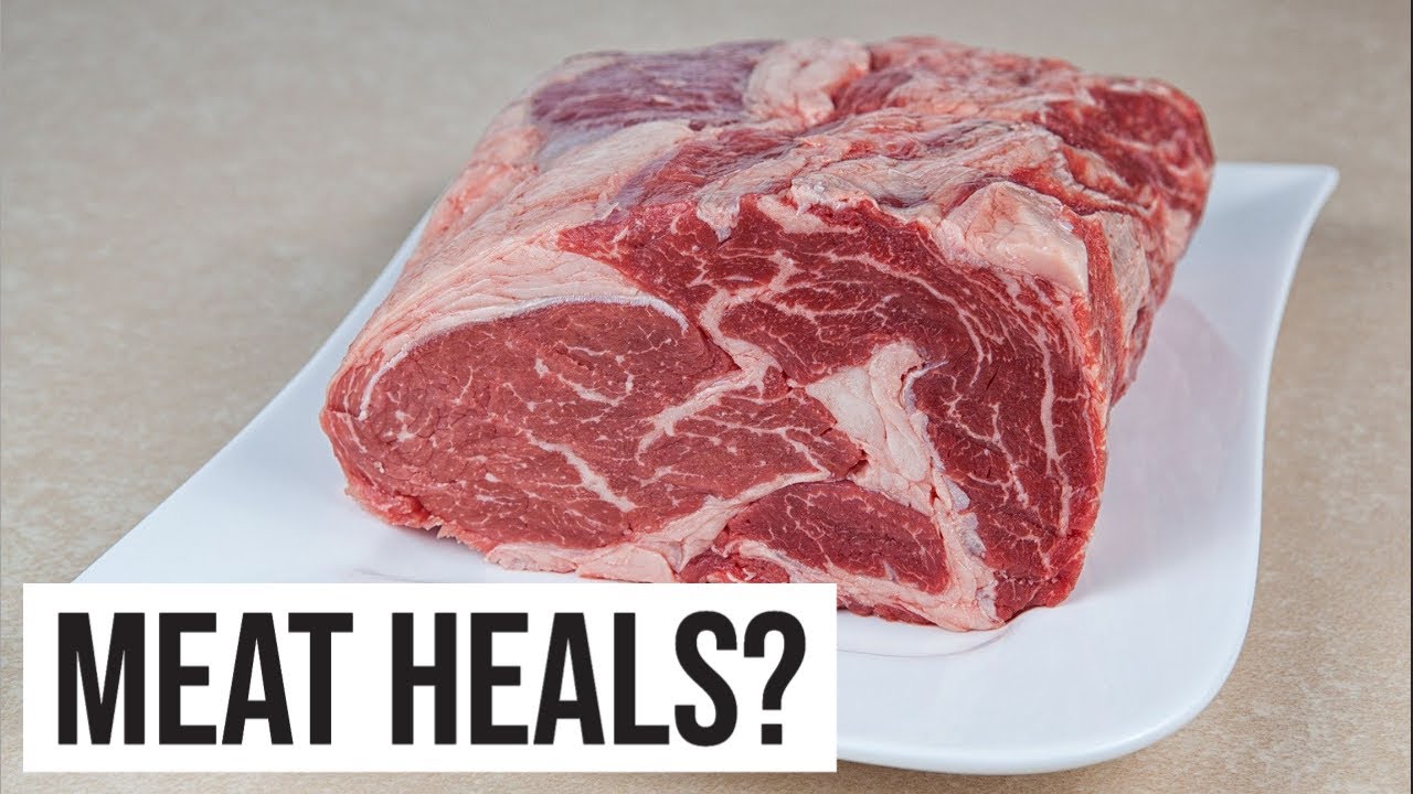 Meat Heals: How does a carnivore diet heal? - YouTube