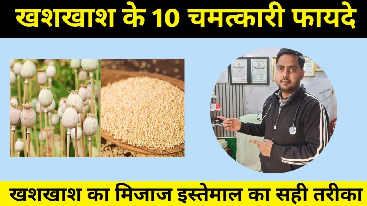 khash khash खशखाश को ऐसे करो इस्तेमाल हैरान रह जाओगे, khashkhash ke ...