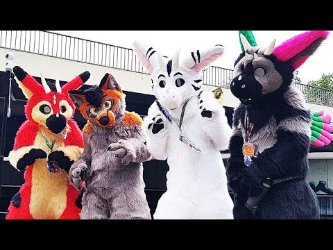 Maria's Creative Corner Fursuits - Info & Prices - YouTube
