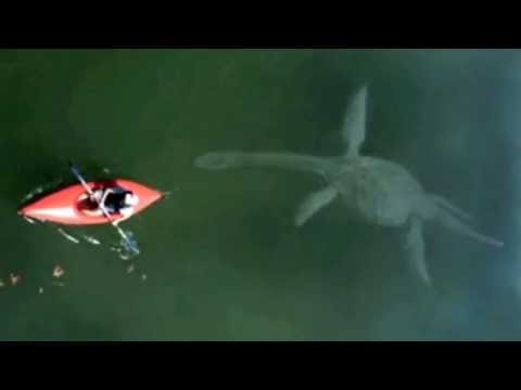 Extinct Animals Caught on Camera Dinosaurs Pteradactyl Loch Ness ...