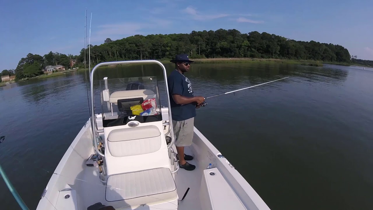 A Bunch of Small Flounder At Rudee Inlet - YouTube