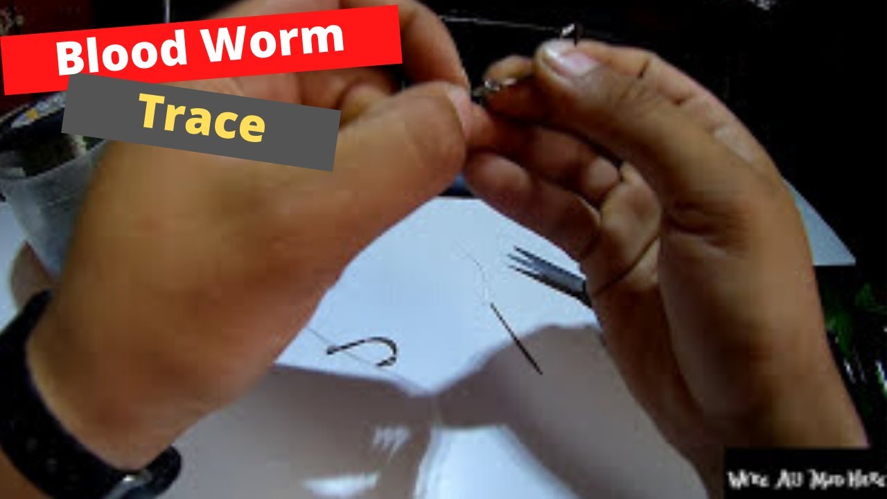 Blood worm trace rig - YouTube
