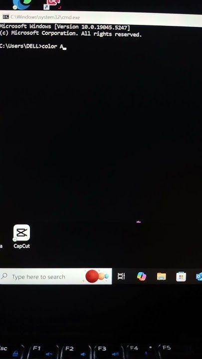 Try It 🧑💻☠️ Hacker Programming Coding Freefire Python Reels Shorts Shortsfeed Roblox 0774