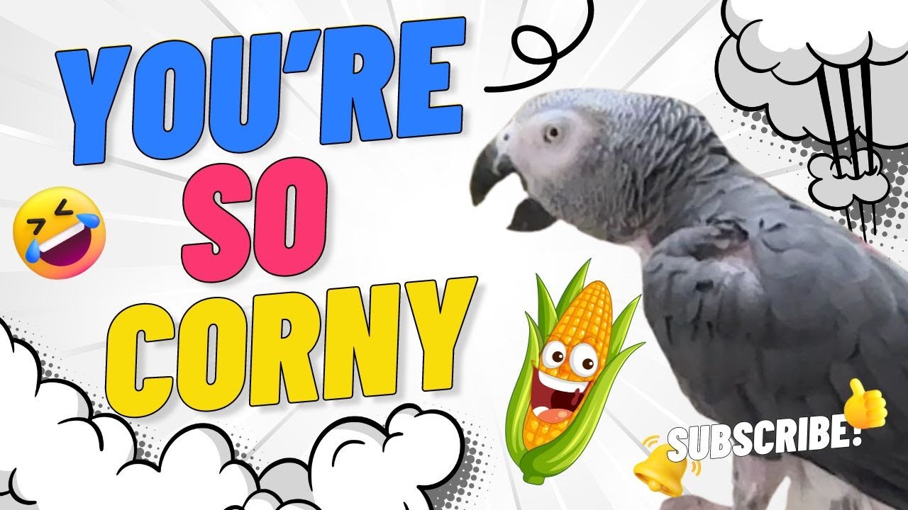 You're So Corny! - More Funny Talking with Einstein - YouTube