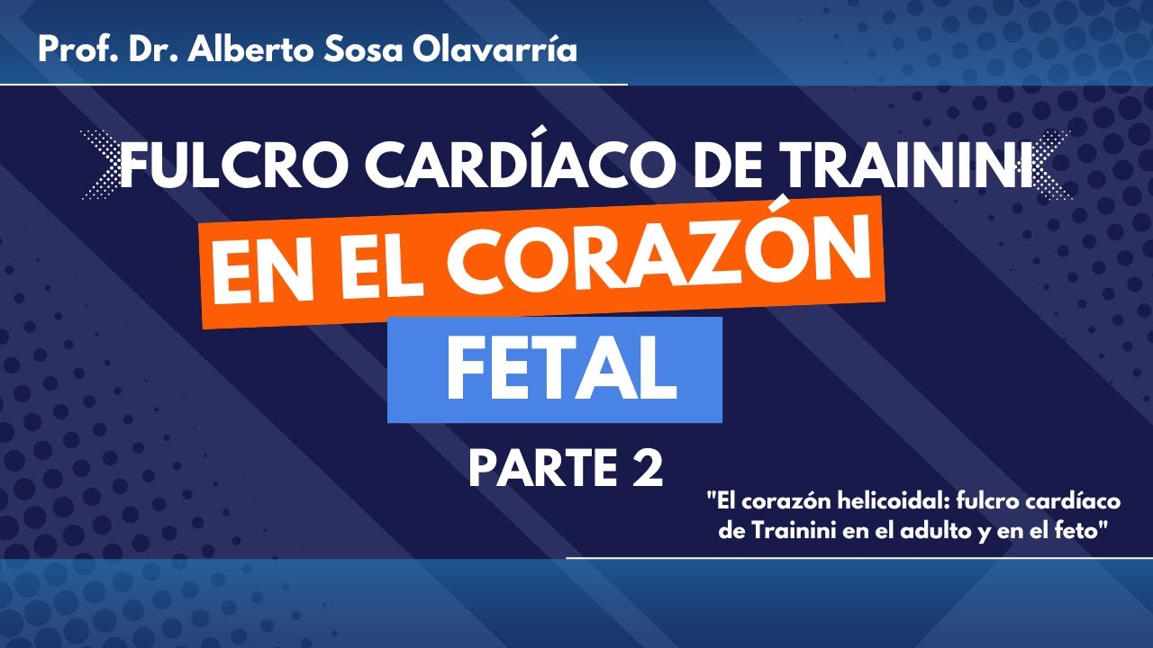 Fulcro Cardíaco de Trainini en el Corazón Fetal | Pr. Dr. Alberto Sosa ...