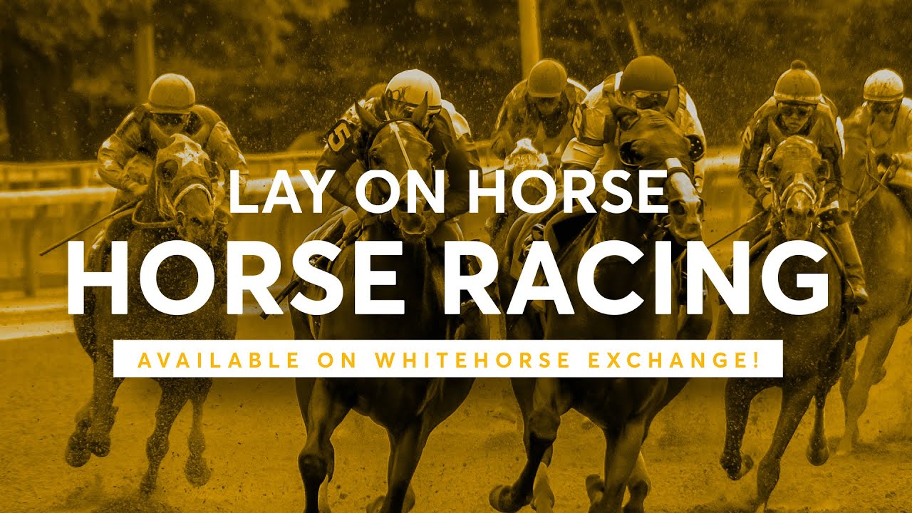 Lay on Horse Racing available on Whitehorse exchange! - YouTube