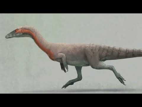 Coelophysis Sounds