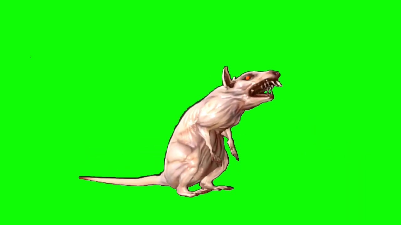 Green Screen Mutant Rat - YouTube