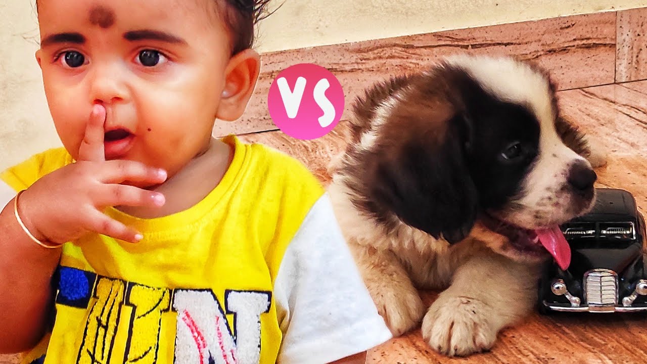 baby and puppy meet for the first time!!😍 - YouTube