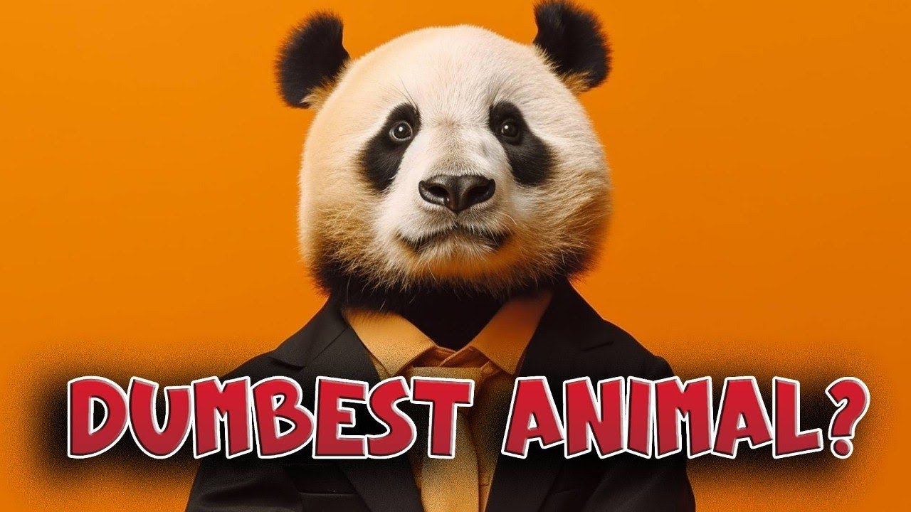 Top 10 Dumbest Animals You Won't Believe Exist! - YouTube