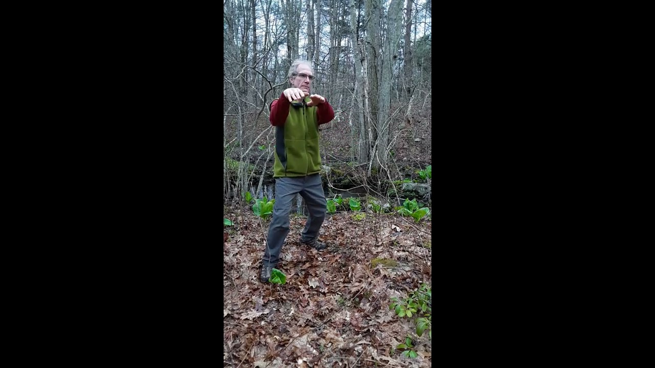 Joe P Tai Chi - Qigong Deer exercise - YouTube