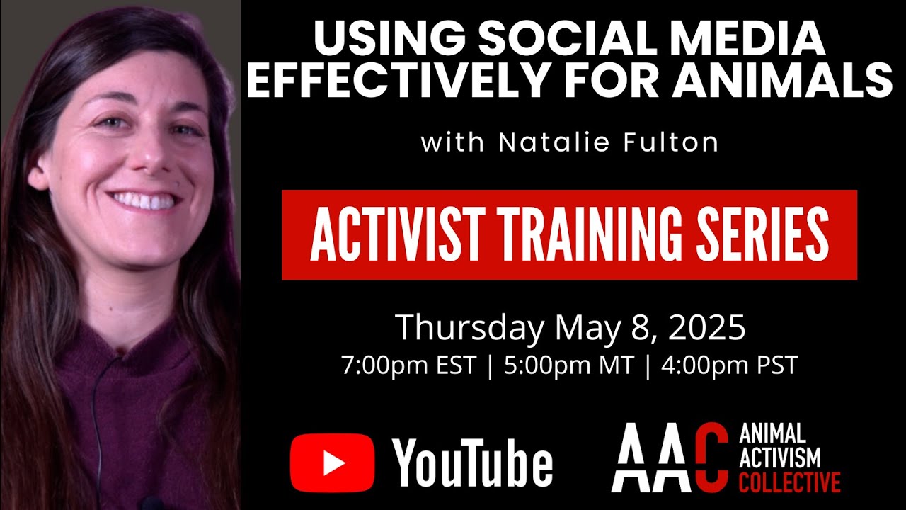 Using Social Media Effectively for Animals w/ Natalie Fulton /// AAC ...