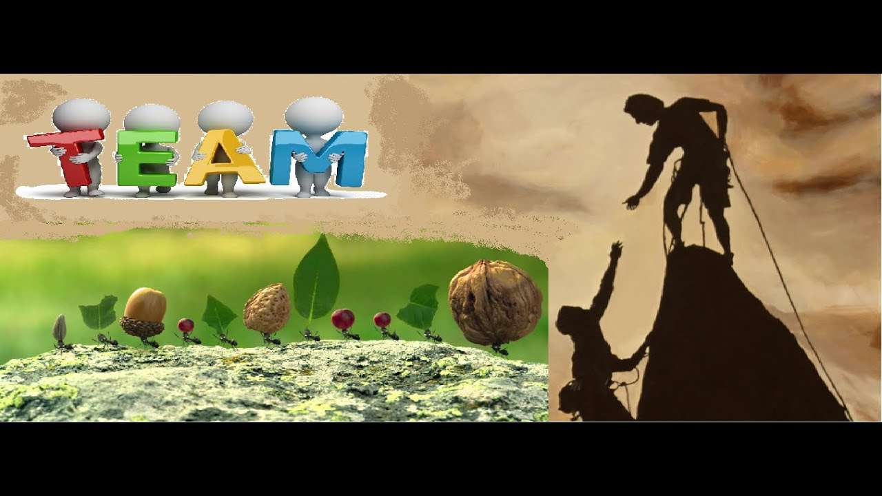 Powerful message about teamwork II story of two donkeys - YouTube