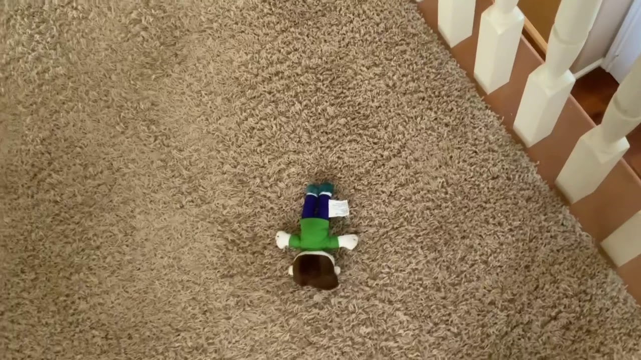 What everybody (should) does wt their infamous swoosh plush - YouTube