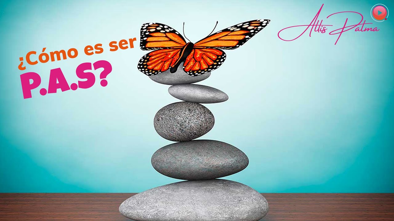 ¿Cómo es ser altamente sencible? - YouTube