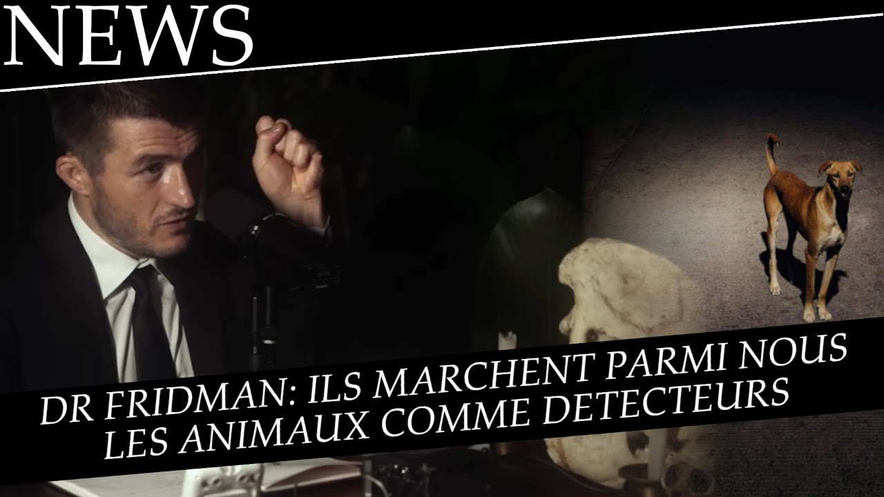 OVNI : déclarations du Dr Fridman, et les animaux comme détecteurs ...