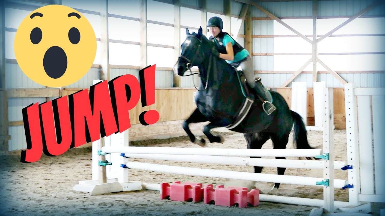 HER BIGGEST JUMP EVER! Day 300 (10/29/18) - YouTube