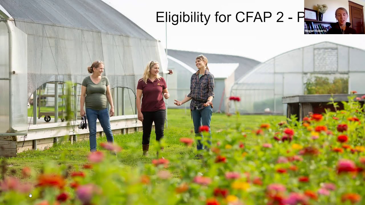 Coronavirus Food Assistance Program 2 (CFAP 2) - YouTube