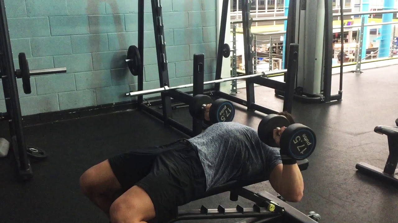 DB Flat Bench Chest Press - YouTube