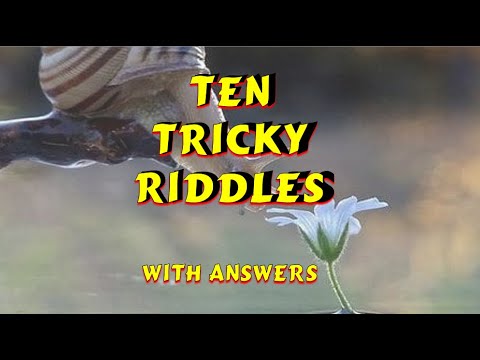 10 Most Tricky Riddles - 10 seconds Riddles | Niche - YouTube