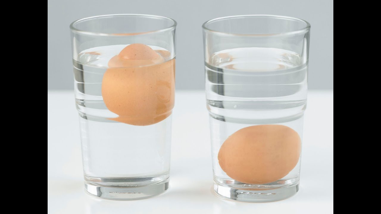 Egg Float Experiment with Ms Stephanie - YouTube