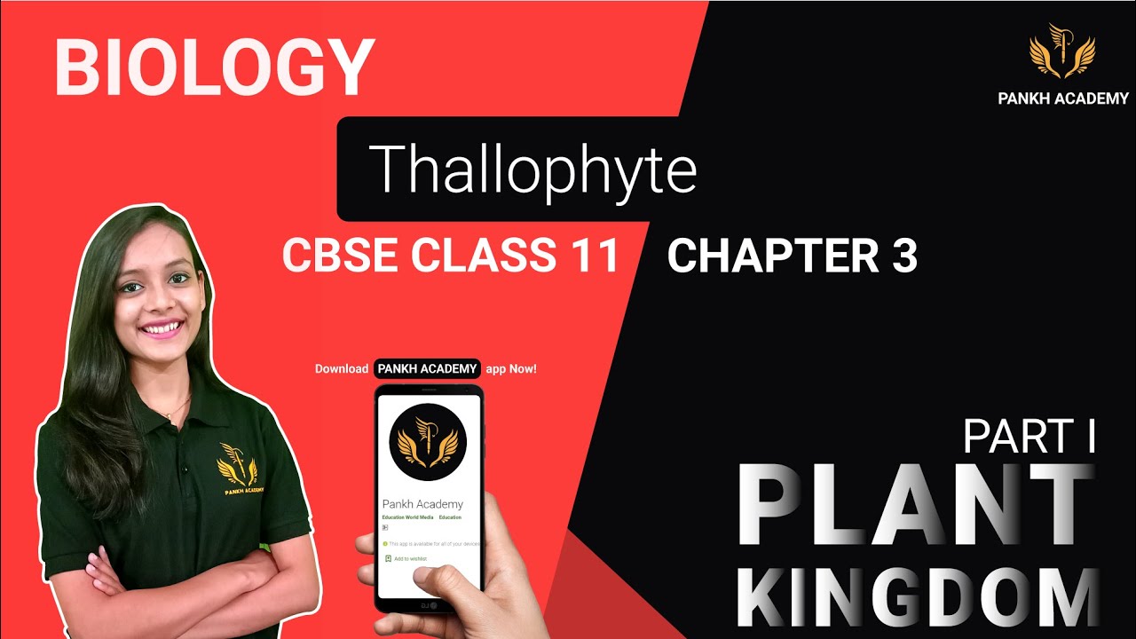Thallophyte Class 11 Biology Chapter 3 - Plant Kingdom - Pankh Academy ...