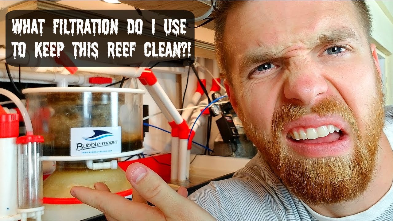 THE 300: The Filtration That Keeps My 300 Gallon Reef Tank Clean - YouTube