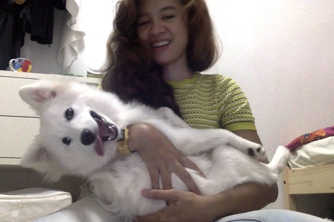 Kitsune the derp doge says hi - YouTube