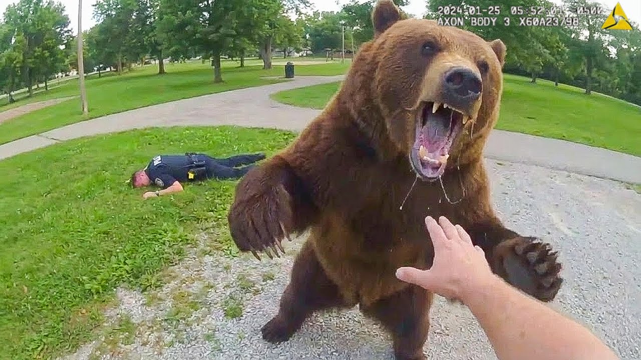6 Most Dangerous Animals Ever Caught On Police Bodycam - YouTube