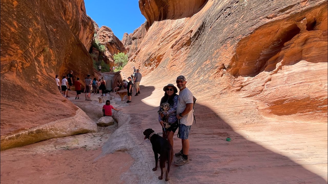RED REEF TRAIL | RED CLIFFS HIKE | RED CLIFFS RECREATION AREA | lhydhia ...