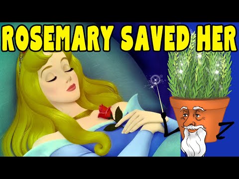 Where Did The Name Rosemary Come From