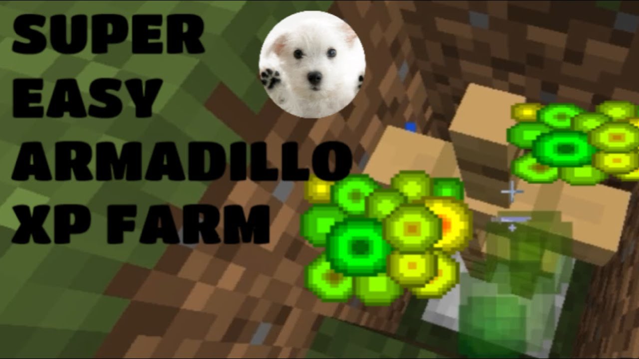 Super easy armadillo XP Farm - YouTube