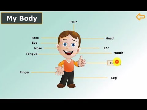 English Language for First Grade Kids - Body Parts - YouTube