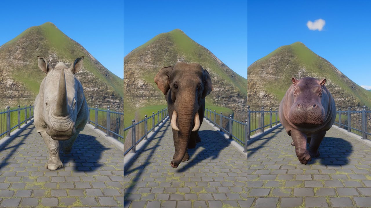 Biggest Animals Speed Races in Planet Zoo included Rhinoceros ...