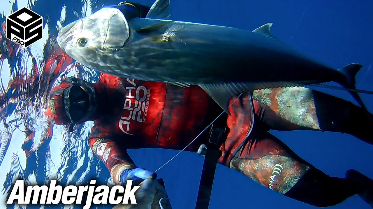 PESCASUB Ricciola Enorme banco INCREDIBILE - Pesca subacquea in tana ...