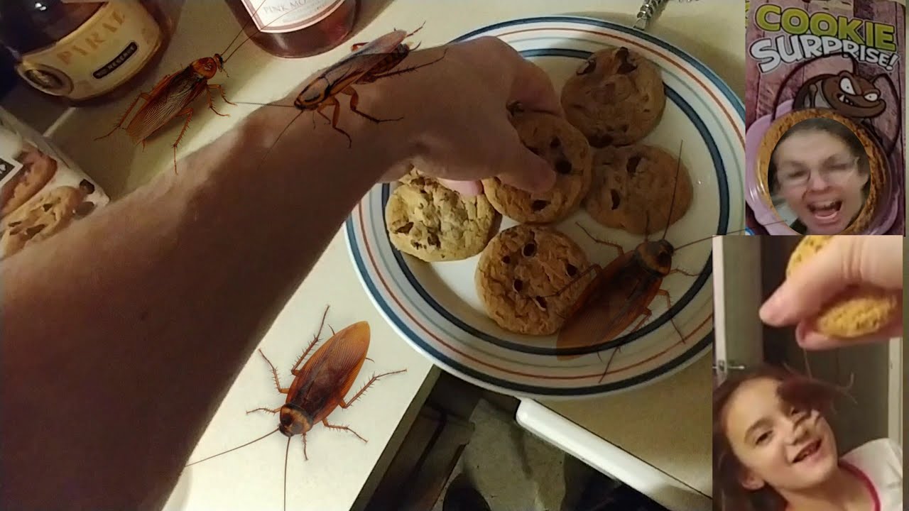 COOKIE SURPRISE 🍪 (Cockroach prank) - YouTube