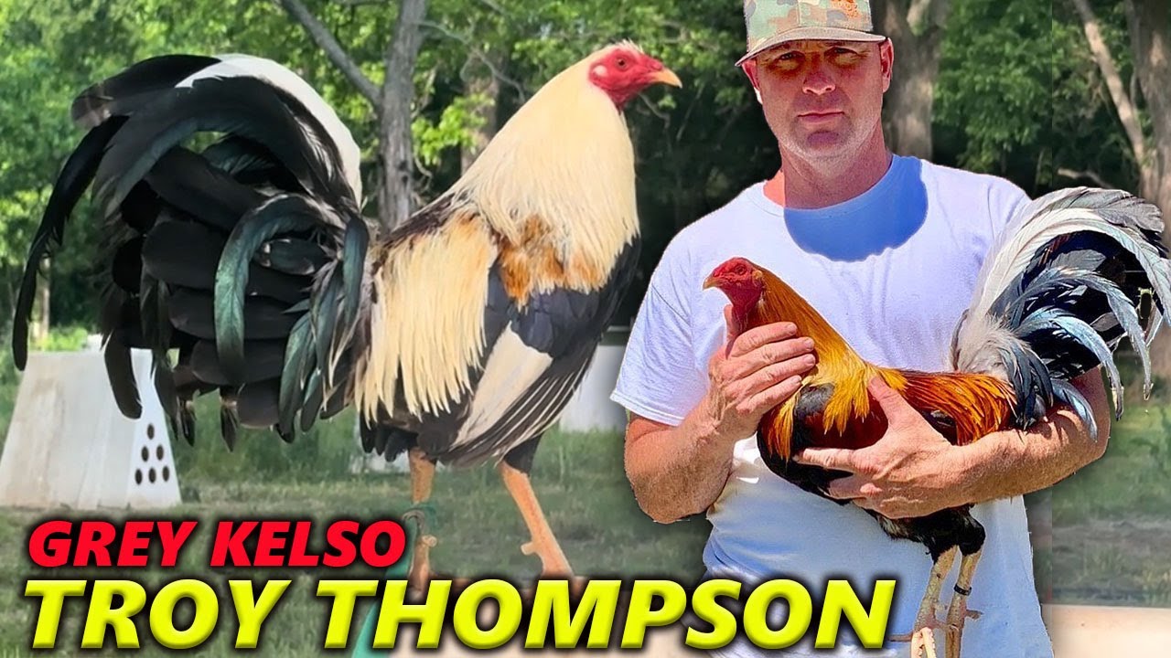 Troy Thompson Grey Kelso Hatch Best Farm Oklahoma - YouTube
