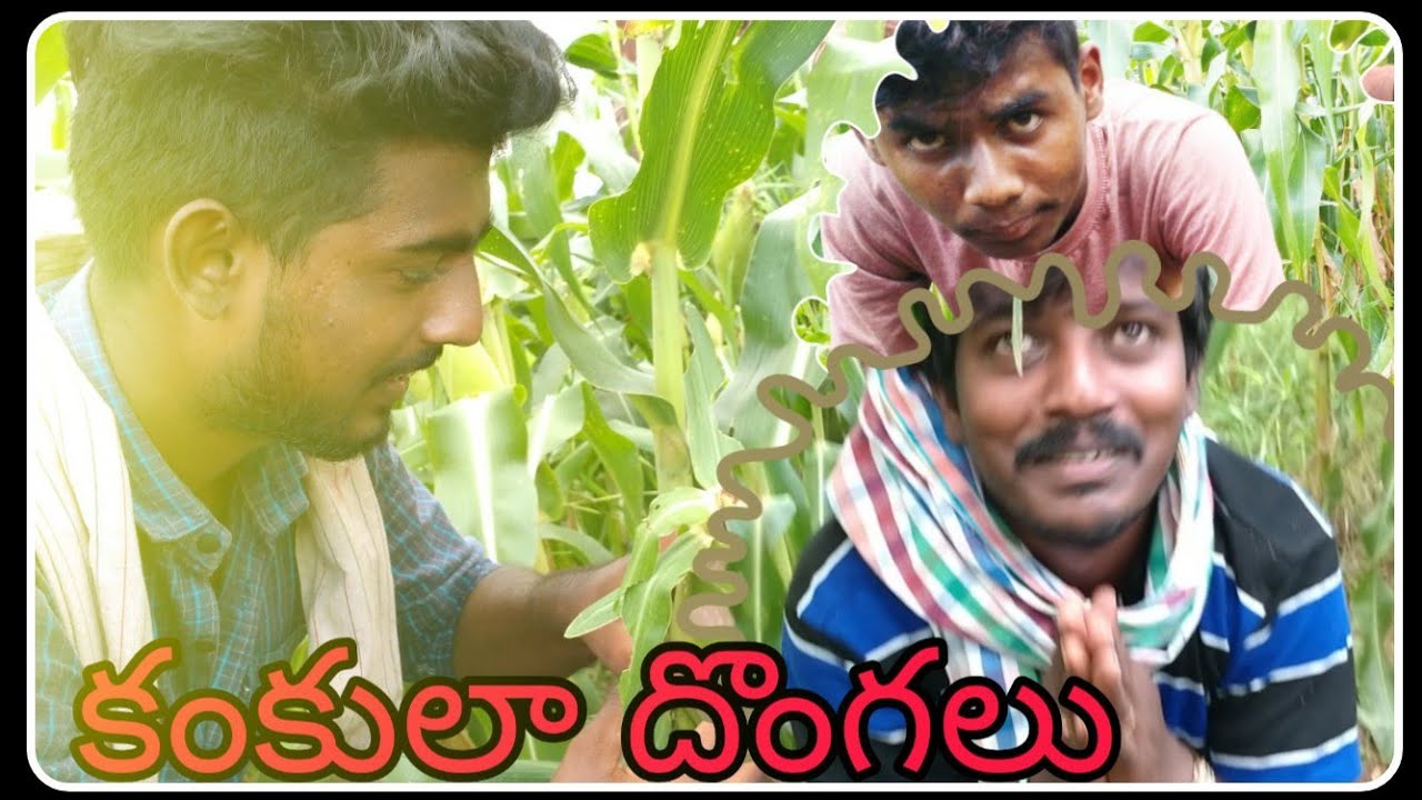 kankula dhongalu//village kankula dhongalu//kankulu dhongilisthe - YouTube