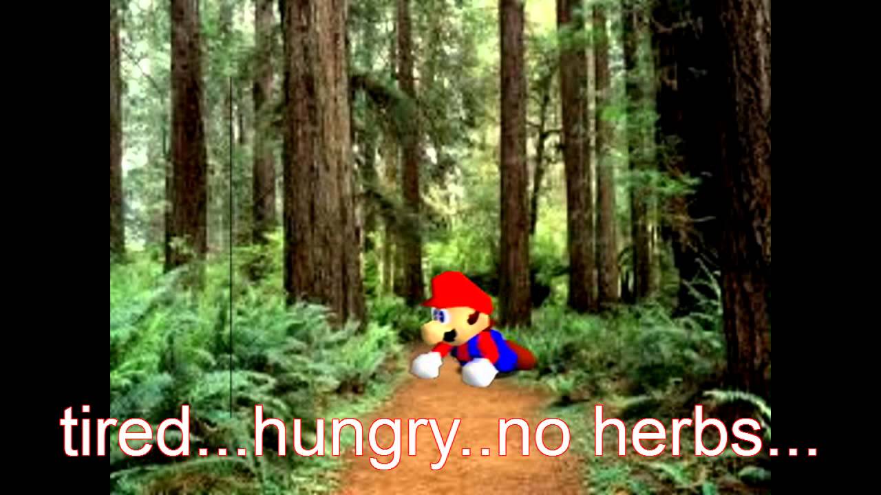 super mario 64 bloopers: WEEGEE disease - YouTube