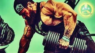 Metal Songs Gym | Popnable