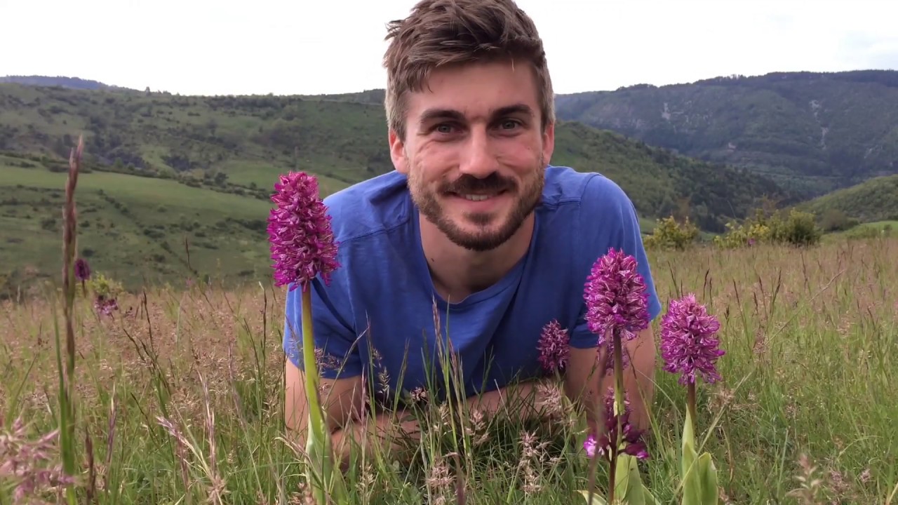 Promiscuous monkey and lady orchids | Leif Bersweden - YouTube