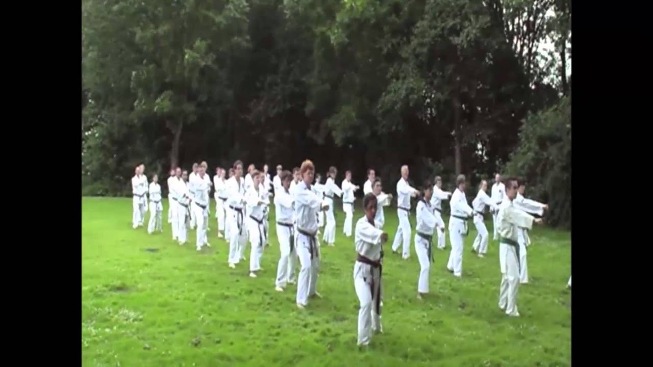 Umi Ryu karatedo - Ernst van der Zee Shihan - YouTube