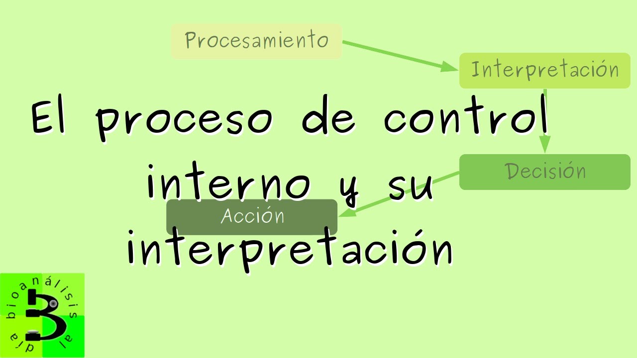 🎯El proceso de control interno y su interpretación - YouTube
