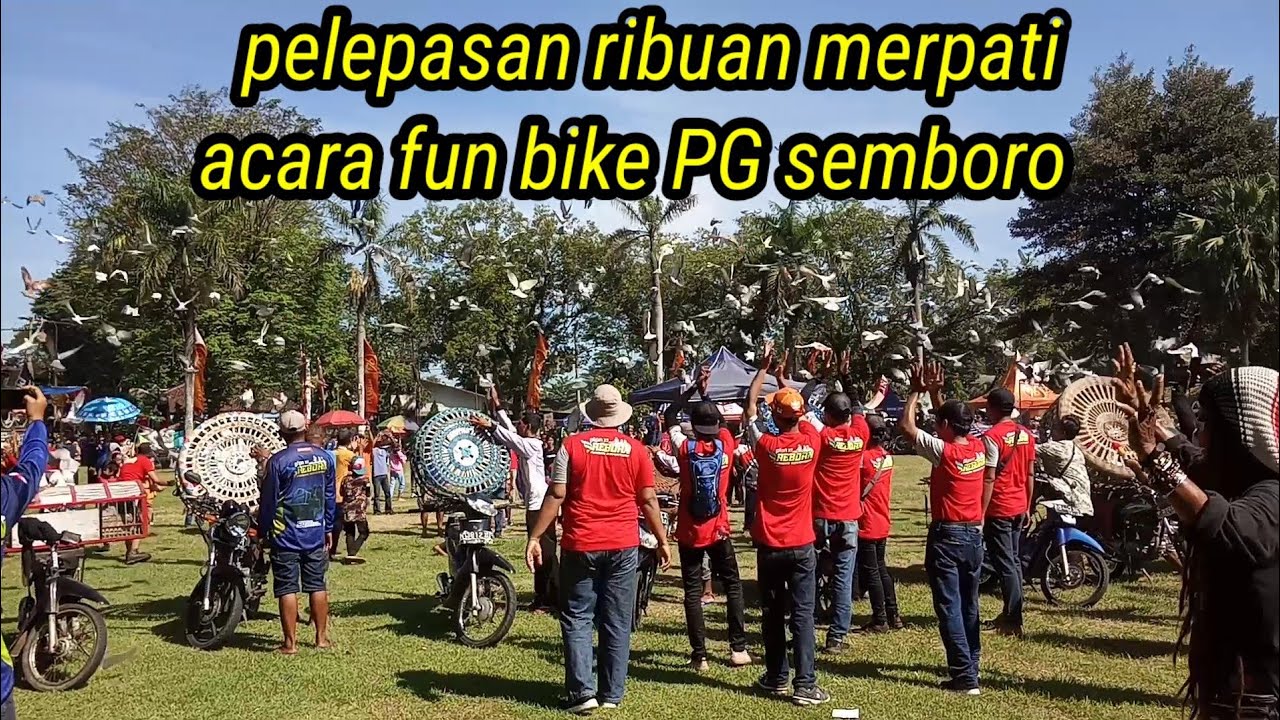 pelepasan 1000 merpati di acara gowes pg semboro 2022 - YouTube