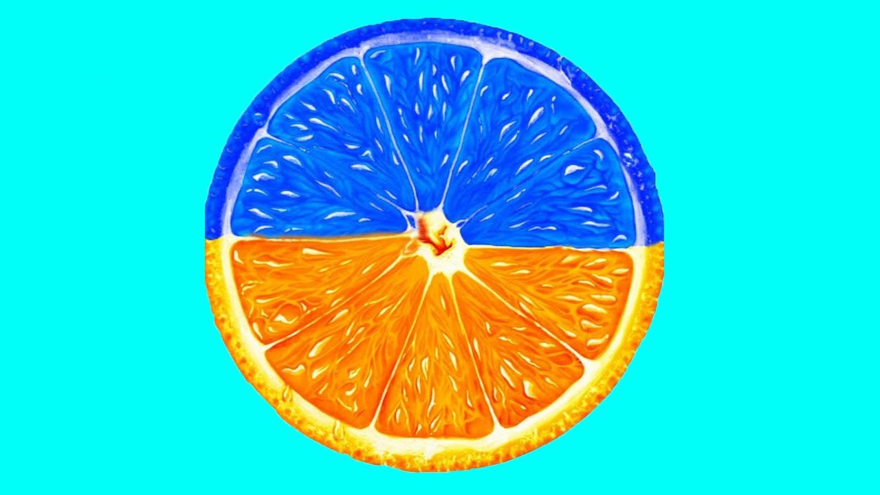 과일 히든 패턴 (내부) _ 릴렉스 모션. Fruits Hidden pattern (Inside part) _ Relaxing ...