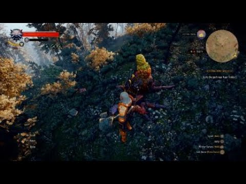 The Witcher 3: Endrega Drone Hunting in Skellige - YouTube