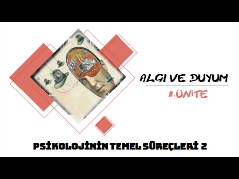 Duyum ve Algı (AYT-Felsefe Grubu) #9