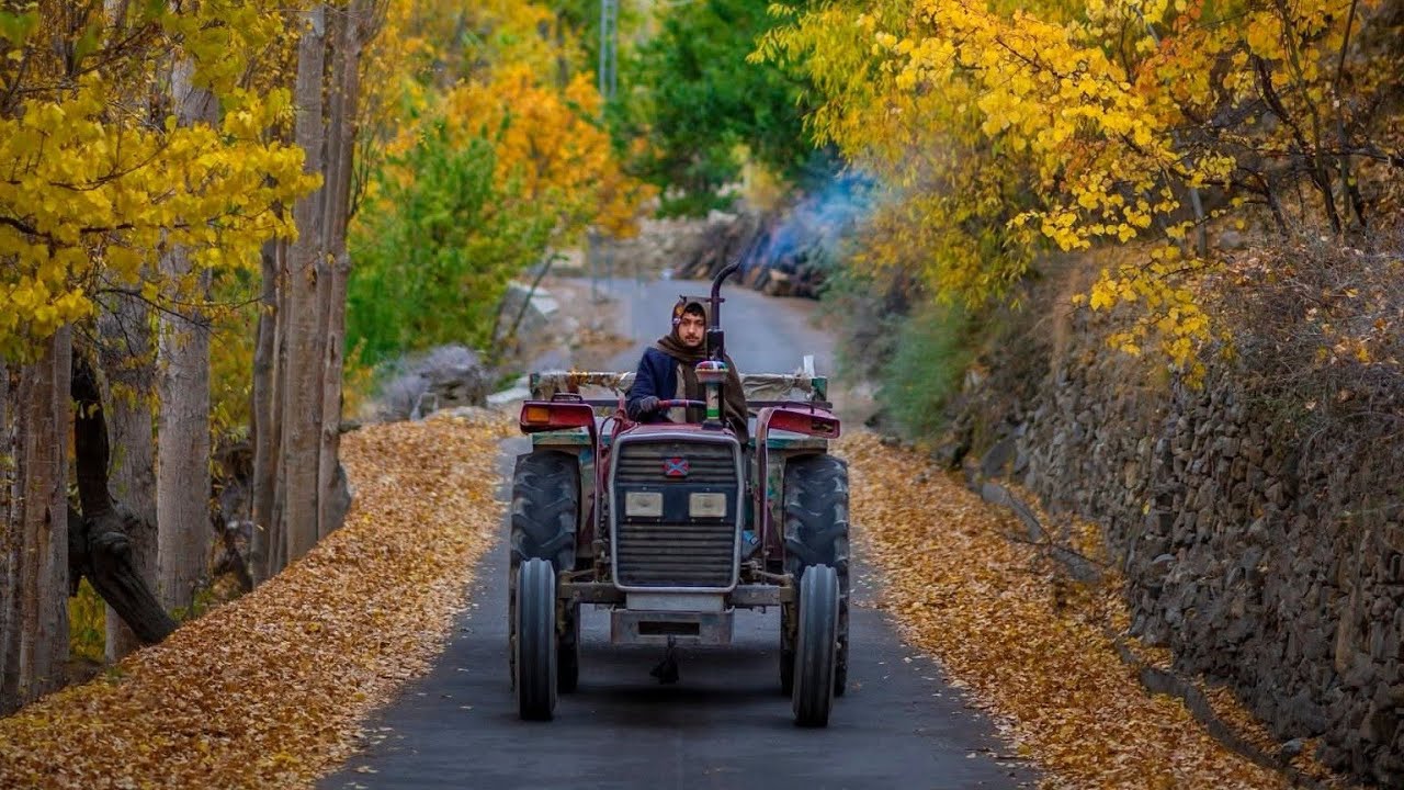 Mesmerizing Autumn in Gilgit Baltistan || Colorful Poplar & Apricot ...