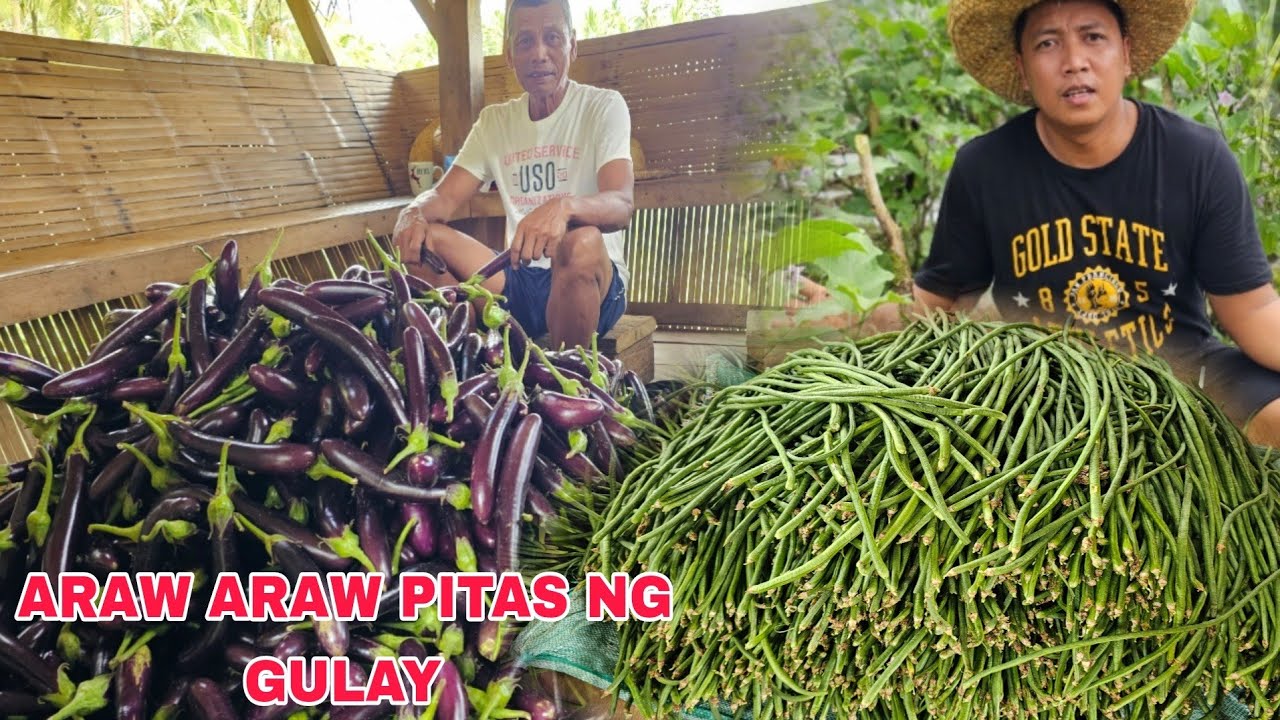 Byahe muna kami ni mrs ng gulay...Si tatay andong ang tunay na masipag ...